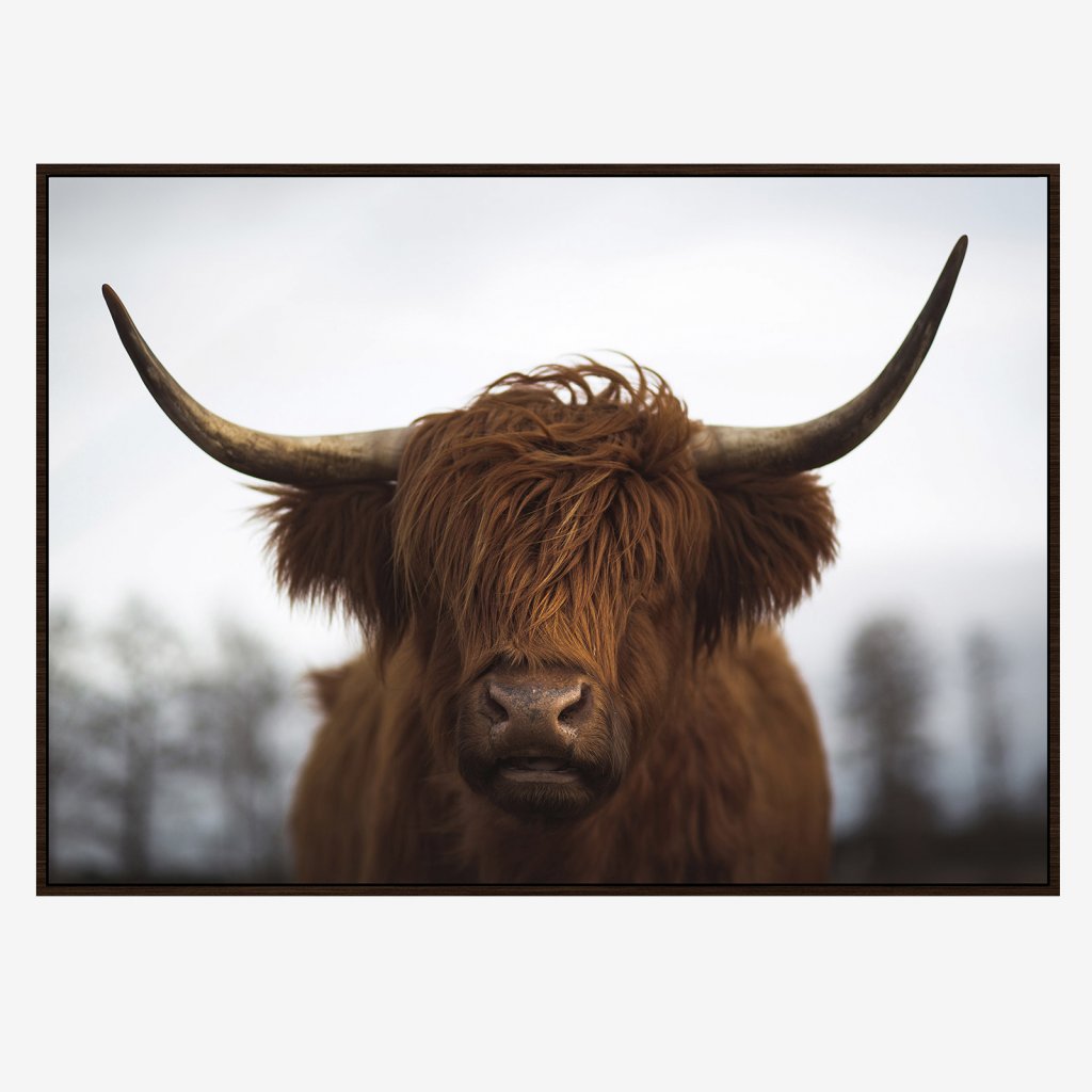 Art - Mecasso Furniture Store